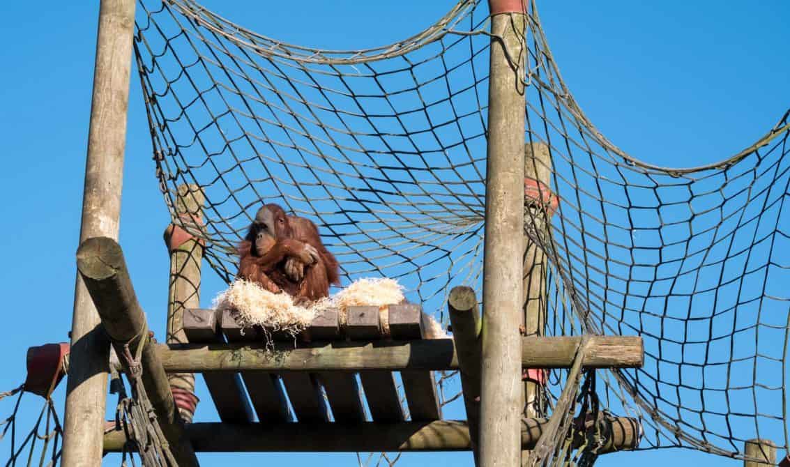 25 Best Things To Do In Dorset