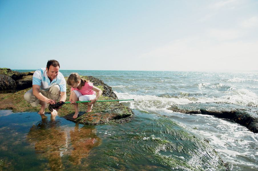 A Guide To Devon Cliffs Holiday Park - Caravan Sleeps