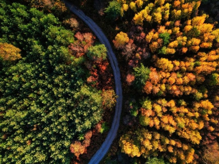 15 Amazing Things To Do Near Devon Cliffs - Caravan Sleeps